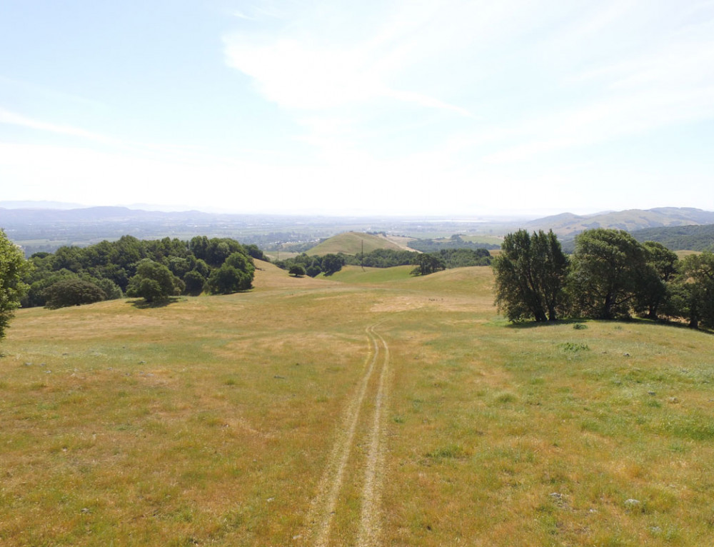 Stornetta Brothers Coastal Ranch – Conservation Land Group